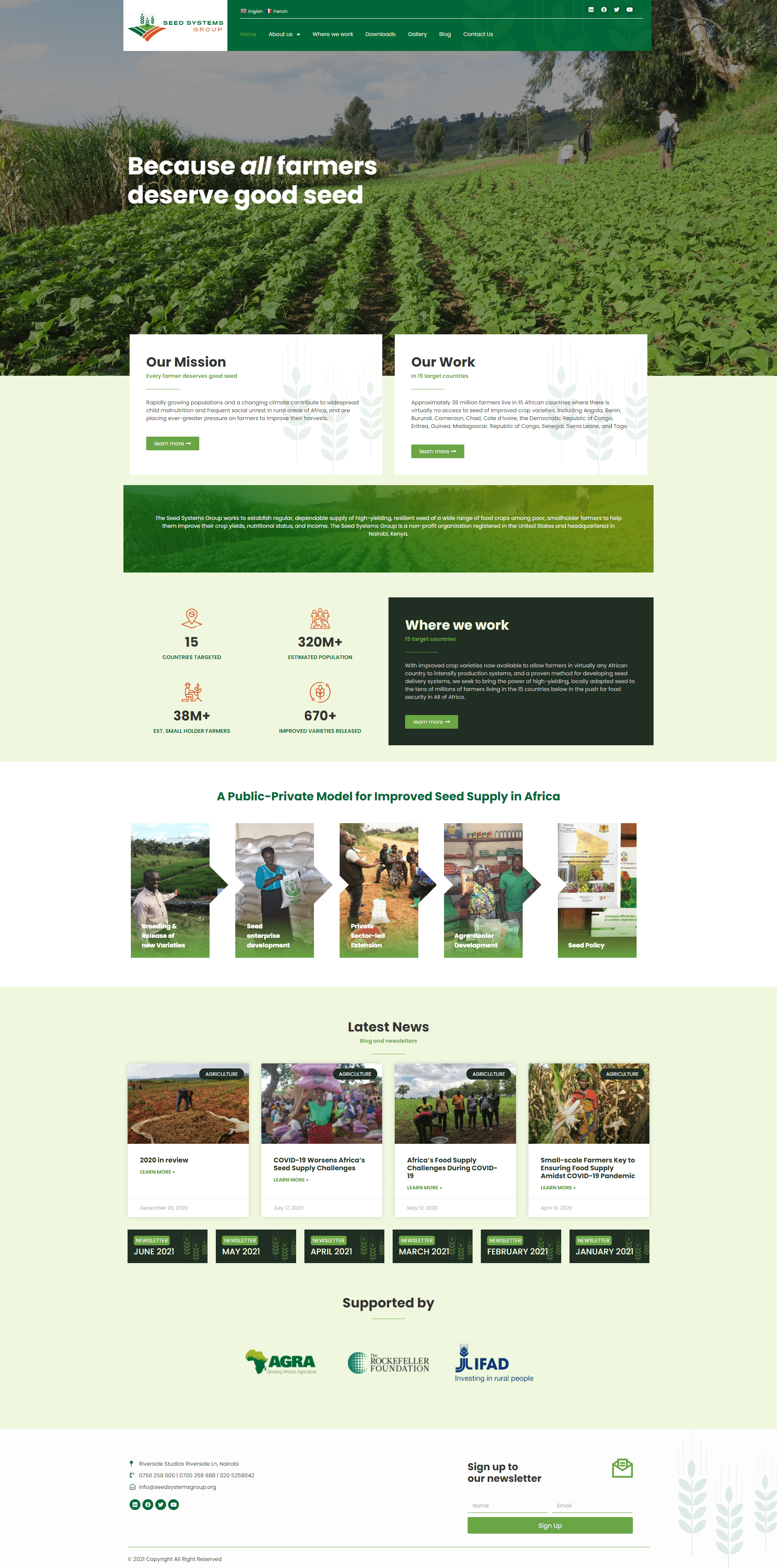 Seed Systems Group | Minty Lime